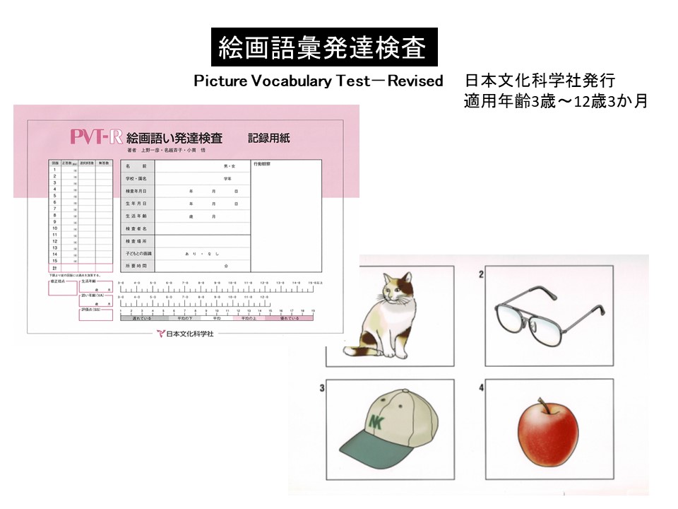 難聴児の日本語力評価に使う簡便な検査は？ | 難聴児支援教材研究会